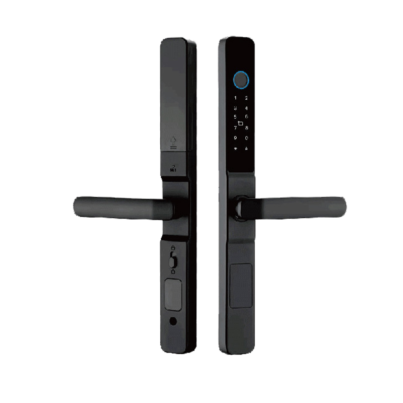 China Push Pull Smart Door Lock, Lever Smart Lock, Deadbolt Smart Lock ...